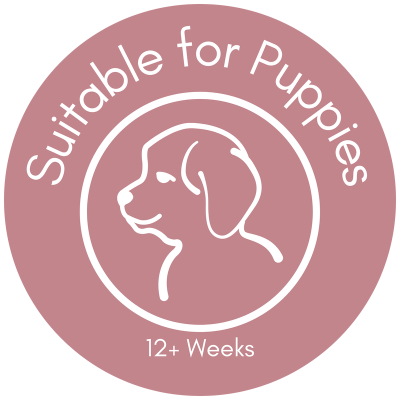 Jumbo Paddy Wack (1kg) – Pet Treats Wholesale Ltd. Trade & Wholesale Portal