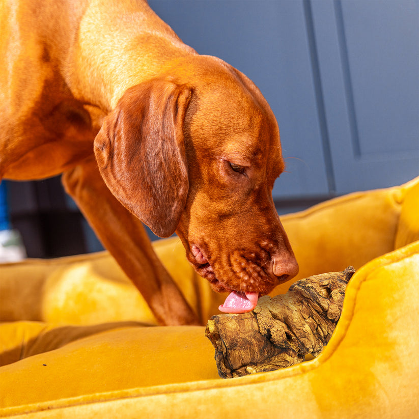 Buffalo Trachea Wrapped in Lung – Pet Treats Wholesale Ltd. Trade ...