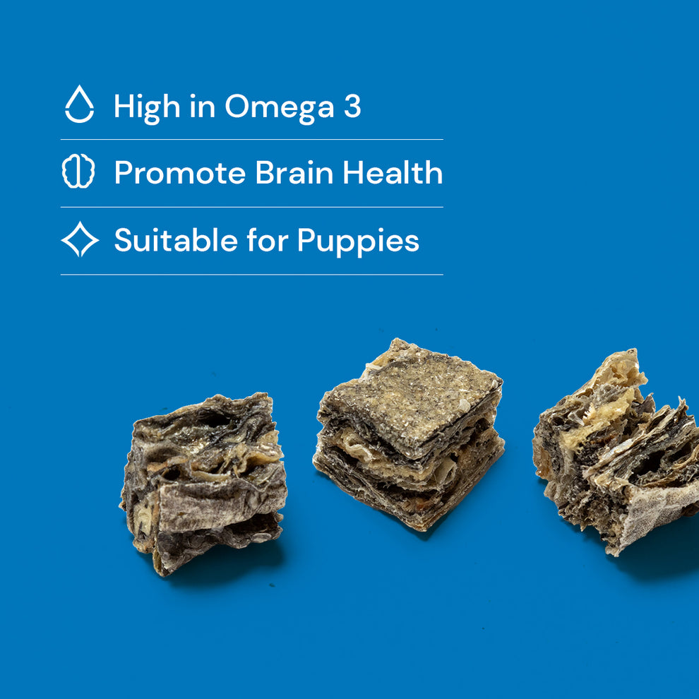 Fish Skin Cubes – Pet Treats Wholesale Ltd. Trade & Wholesale Portal