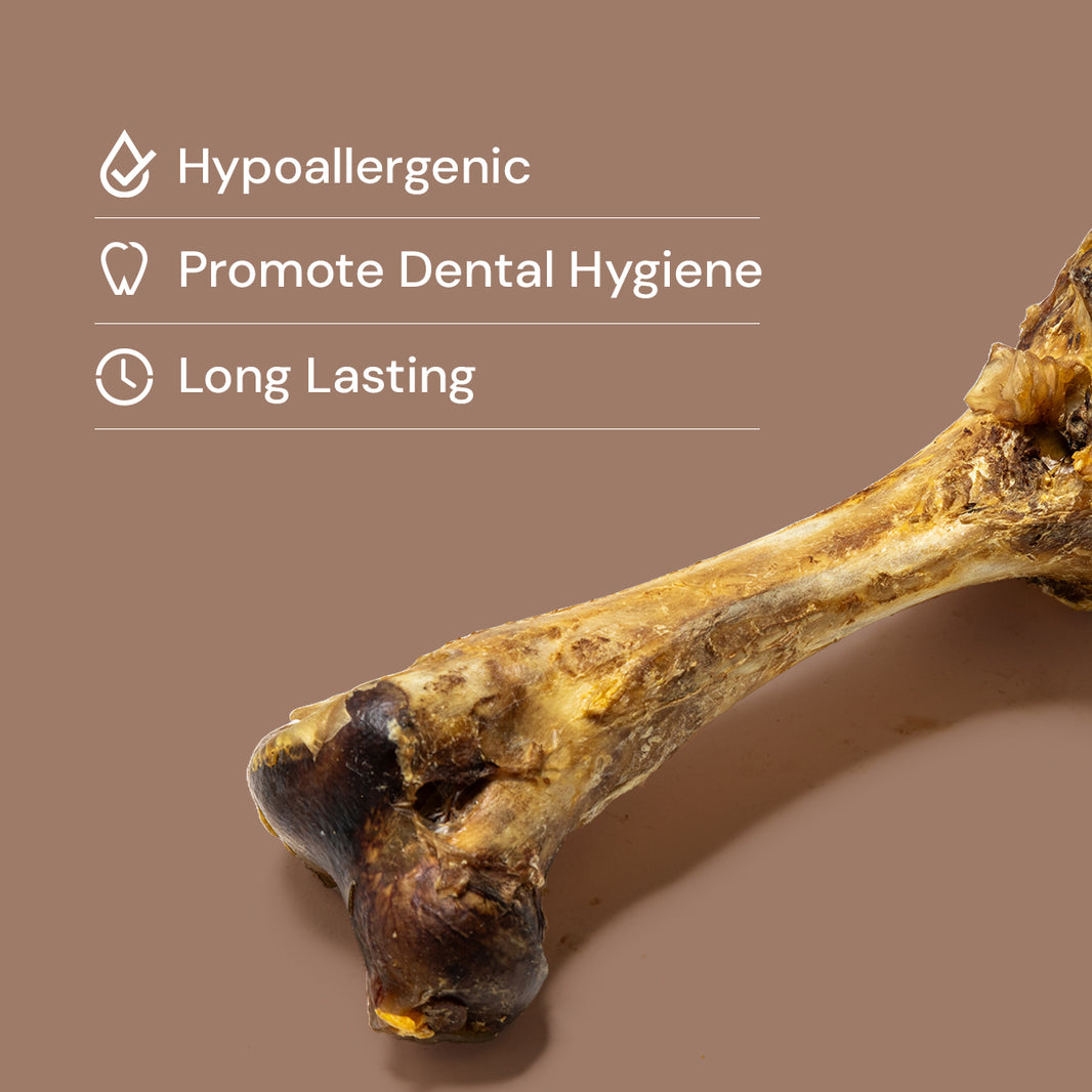 Ostrich – Pet Treats Wholesale Ltd. Trade & Wholesale Portal