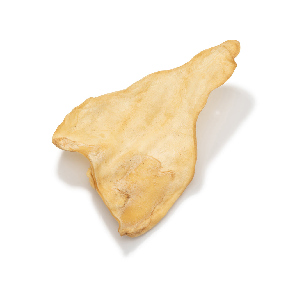 Large Cow Ear Flaps – Pet Treats Wholesale Ltd. Trade & Wholesale Portal