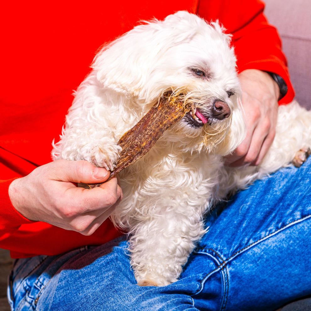 Flat Beef Gullet (500g & 1kg bags) – Pet Treats Wholesale Ltd. Trade ...