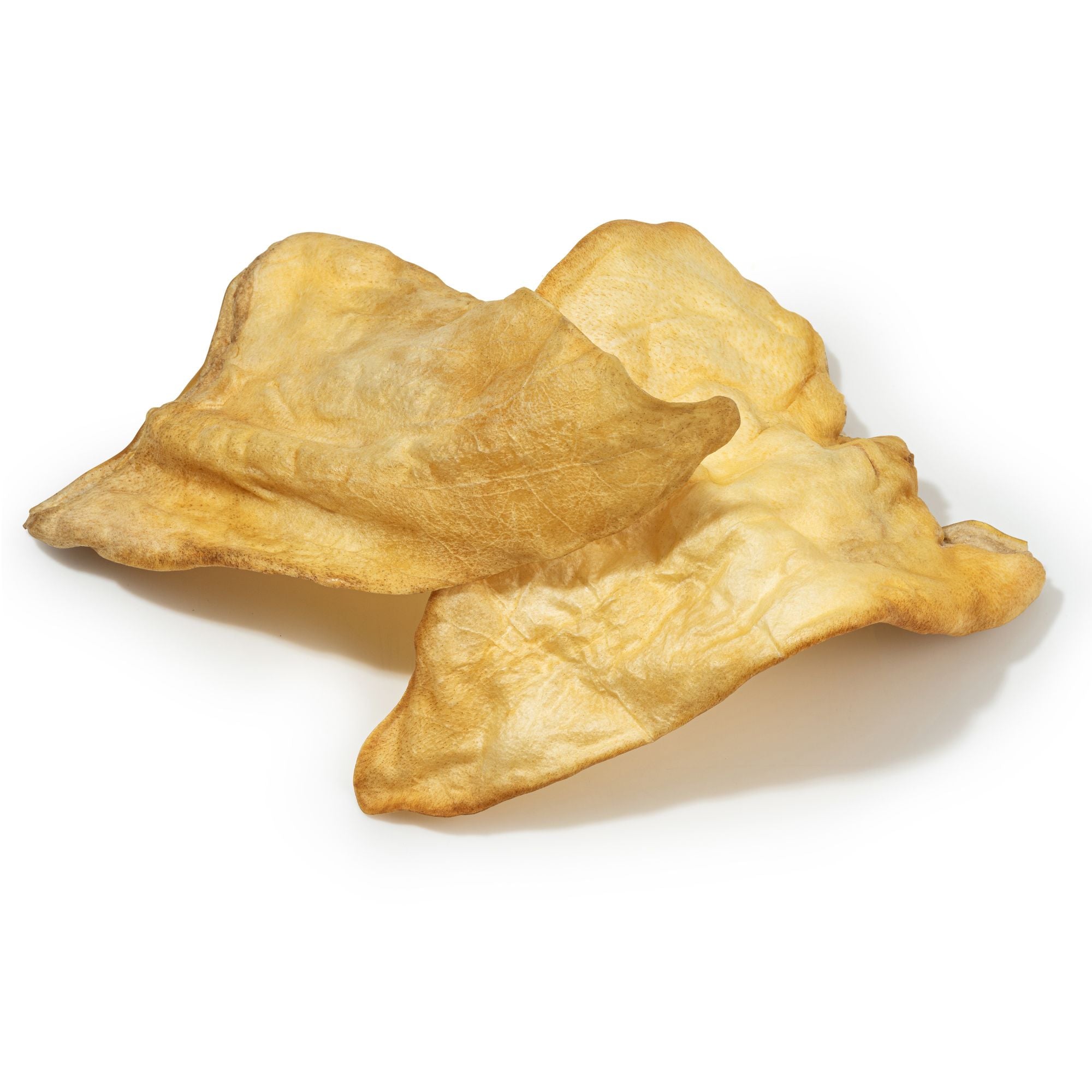 Large Cow Ears - no hair – Pet Treats Wholesale Ltd. Trade & Wholesale ...