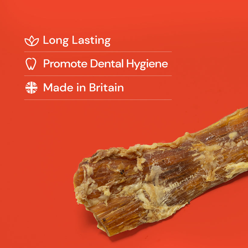 Paddy Wack "Paddy Whack" – Pet Treats Wholesale Ltd. Trade & Wholesale ...