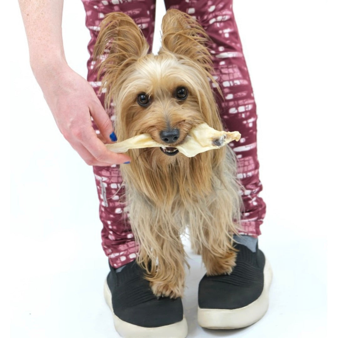 Plain Rabbit Ears - no fur – Pet Treats Wholesale Ltd. Trade ...